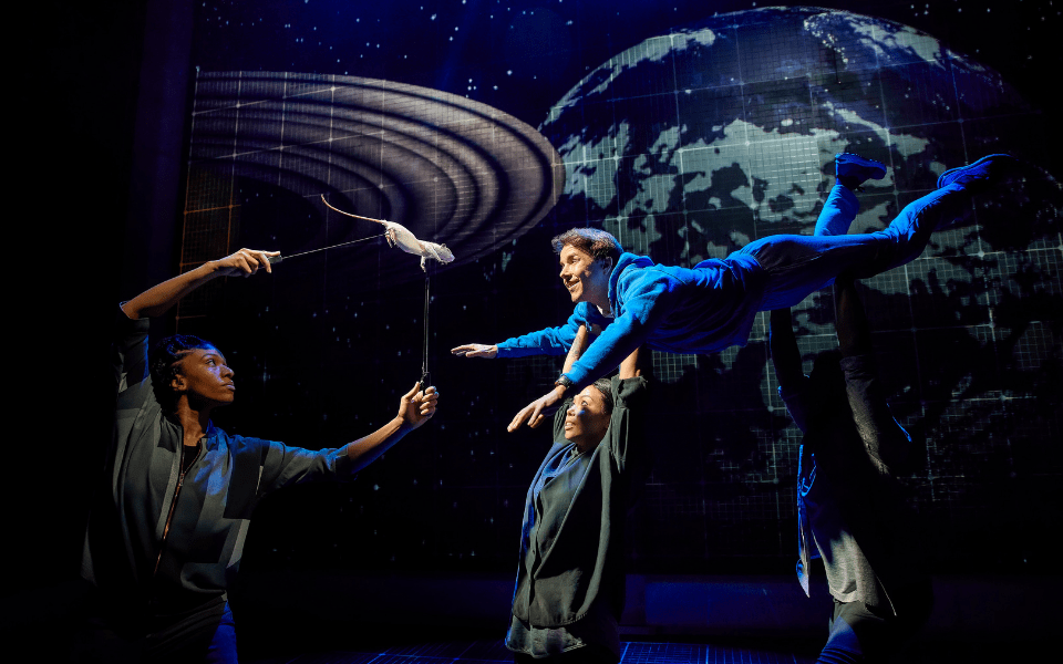 Curious Incident: Facts and figures: The Grand: News Views Stories ...